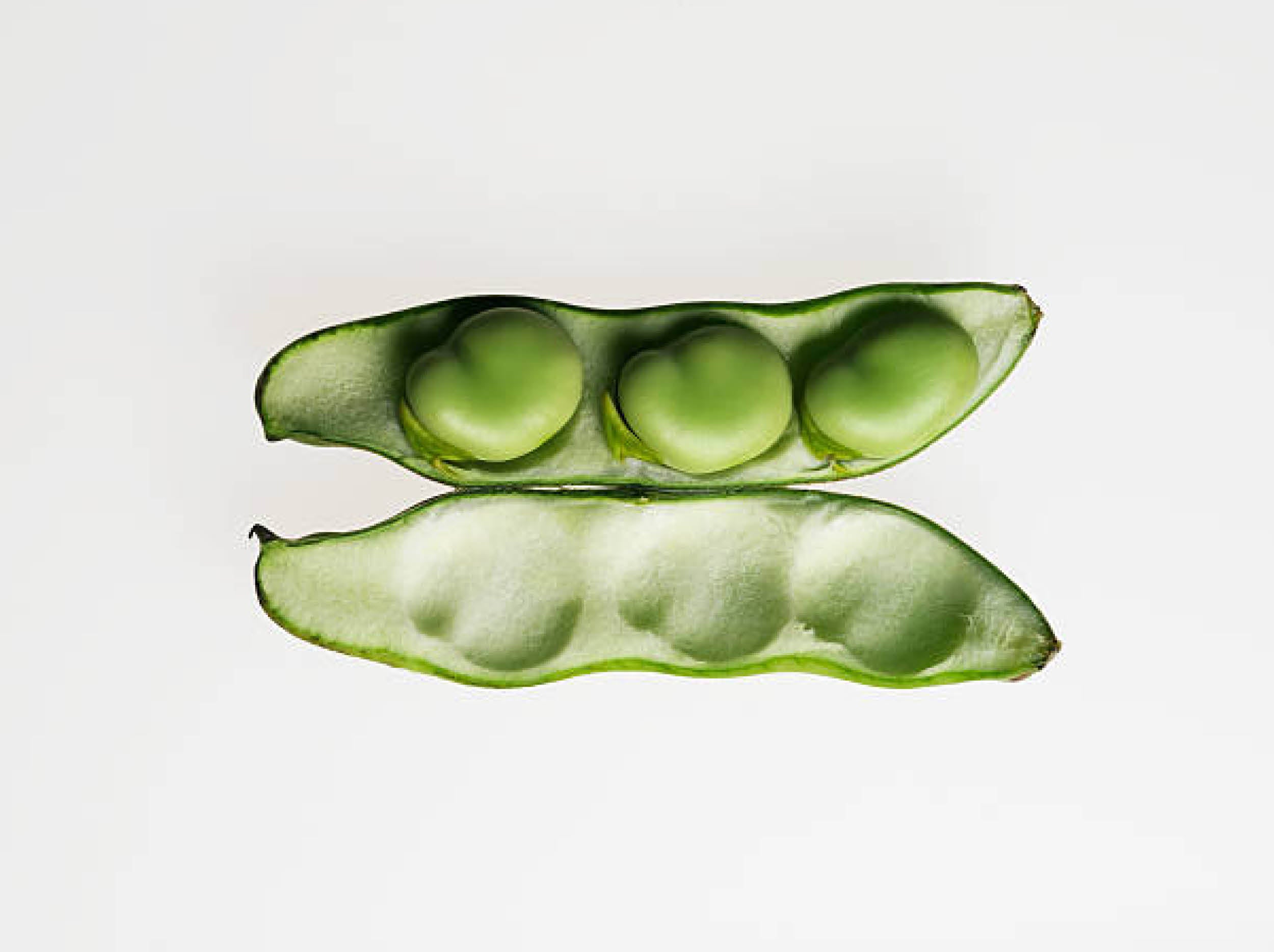 Faba Bean Protein Isolate (Australia) | Inca Organics Ingredients